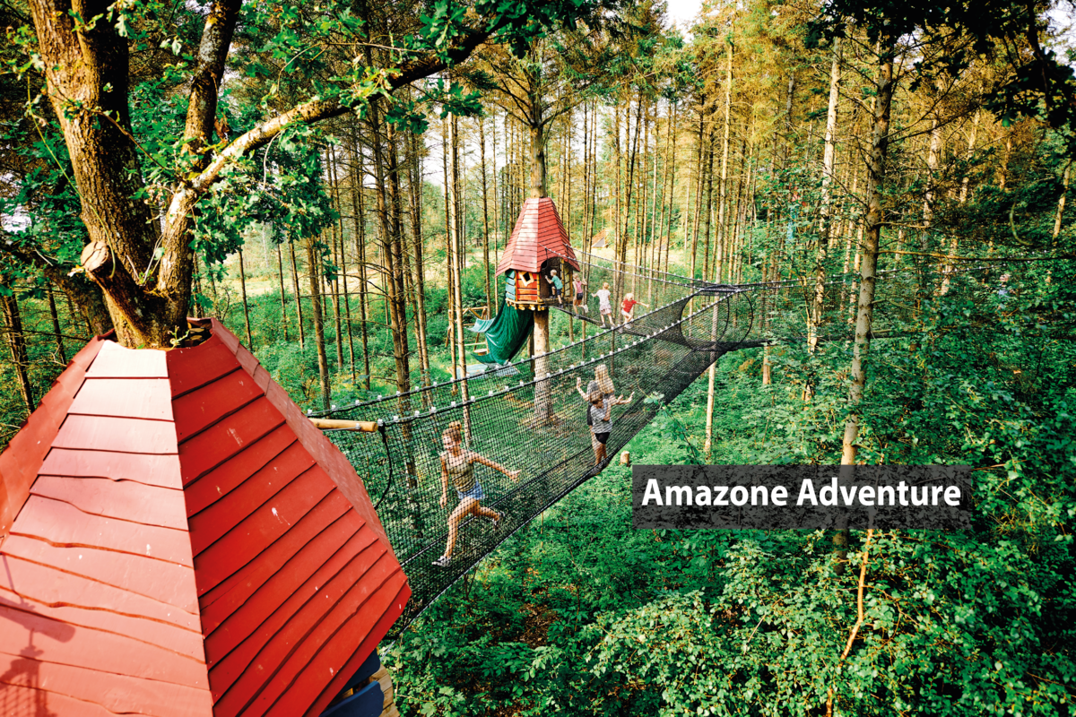 Aerial game construction for forest aerial adventure parks