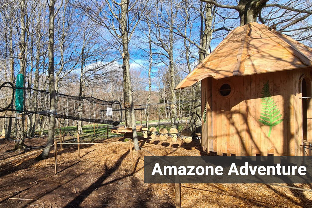 Tree house aerial village construction